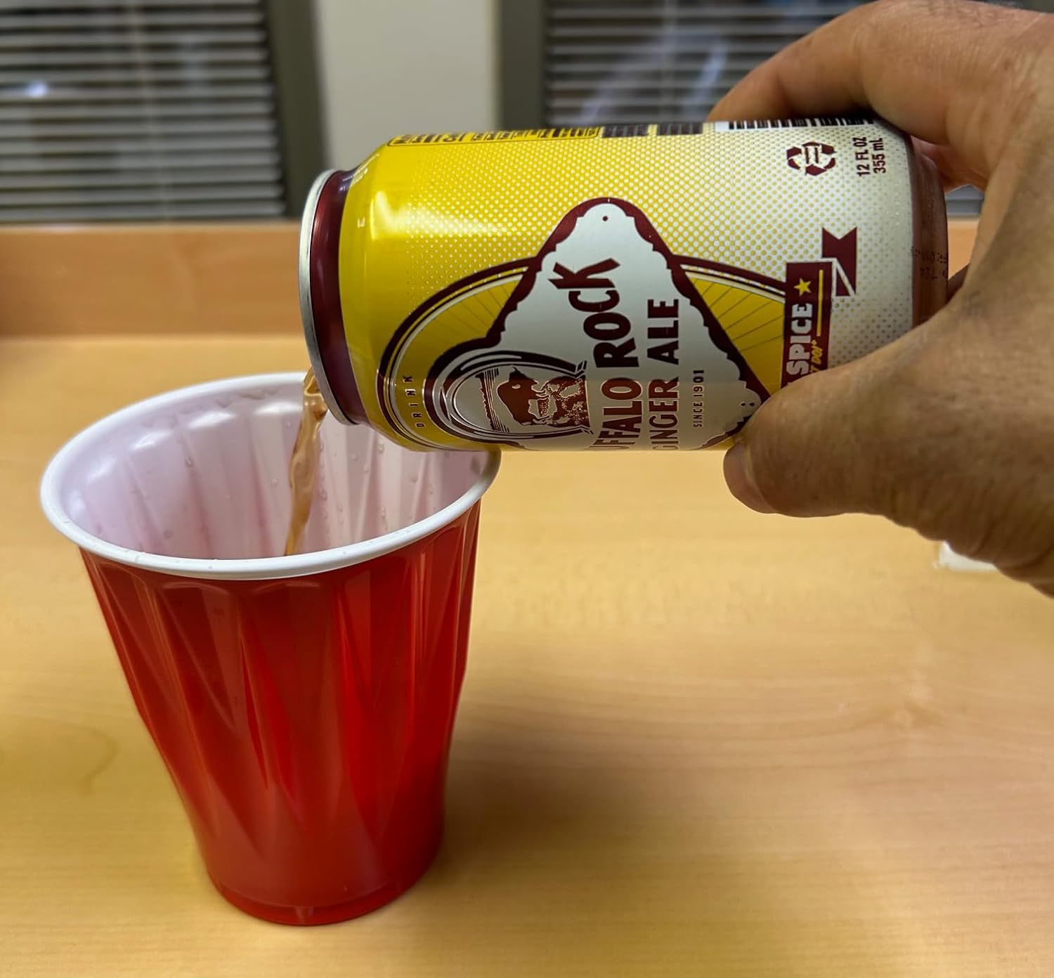 generic Buffalo Rock Ginger Ale Southern Spice Soda Pop, 12 fl oz 12 ...