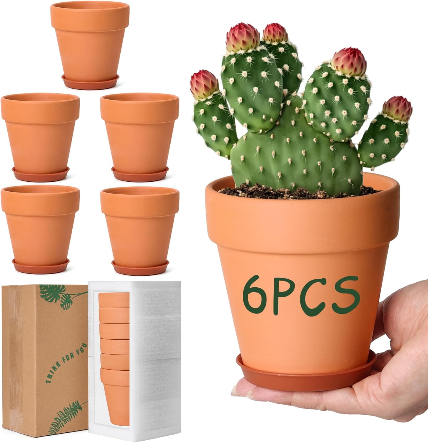 Amazon.com: T4U Terracotta Pots with Saucer (6 Pair) - 4 Inch Terra ...