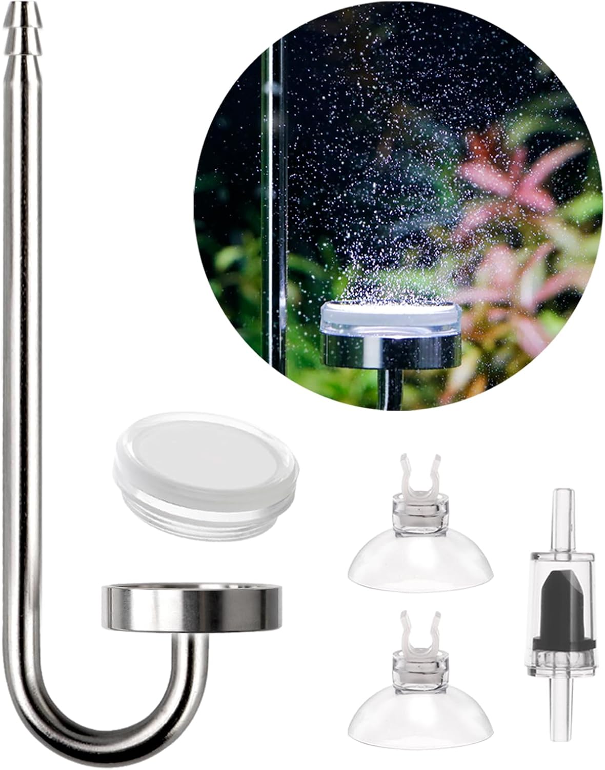 Amazon.com : Clscea SUS 304 Stainless Steel CO2 Diffuser for Aquarium ...