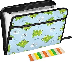 Amazon.com : Quteprint 13 Pockets Expanding File Folder with Zipper ...
