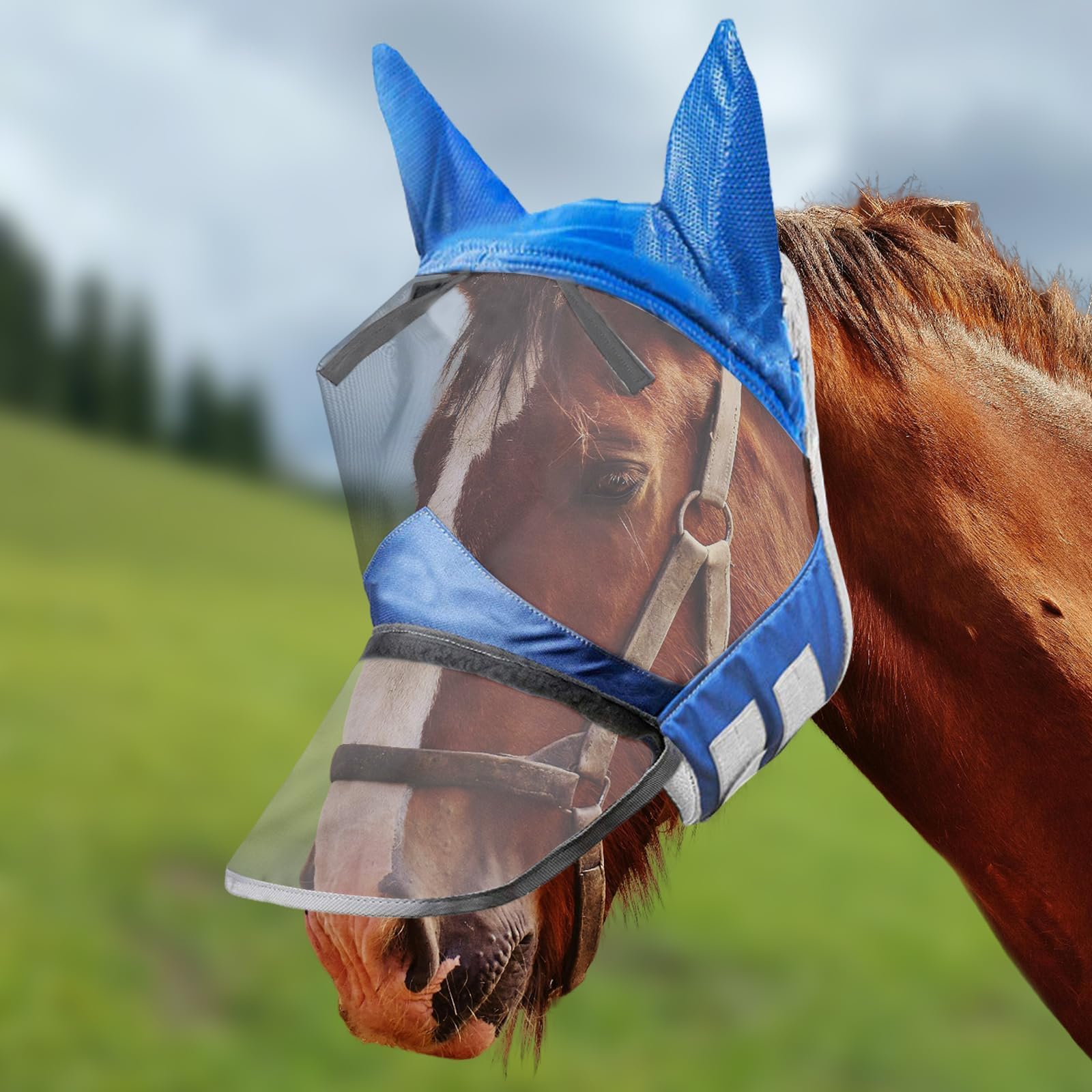 Amazon.com: HackFond Horse Fly Mask Half Face with Ears, Full Face UV ...