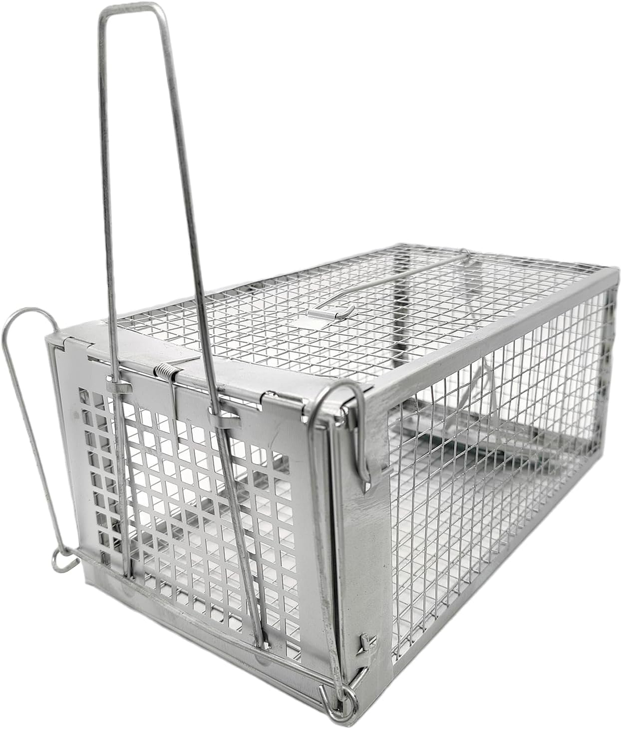 Amazon.com : PIXESTT Humane Mouse Trap, Rat Cage Trap Suitable for ...