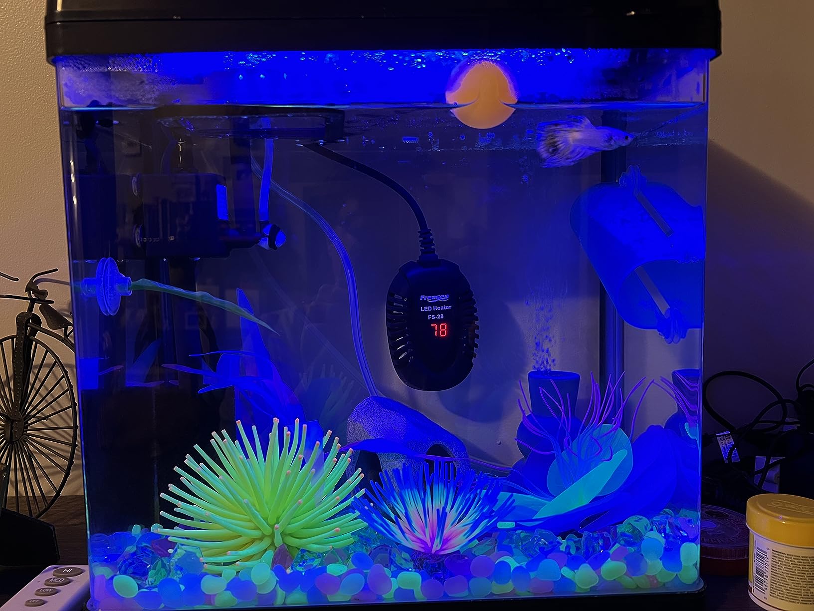 $8/mo - Finance PONDON Fish Tank, 3 Gallon Glass Aquarium with Air Pump ...