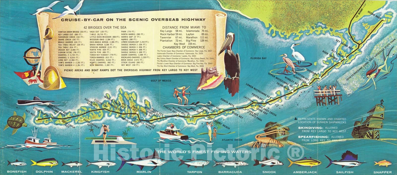 Historic Map Your Treasure Map To The Sea Florida Keys | Desertcart INDIA