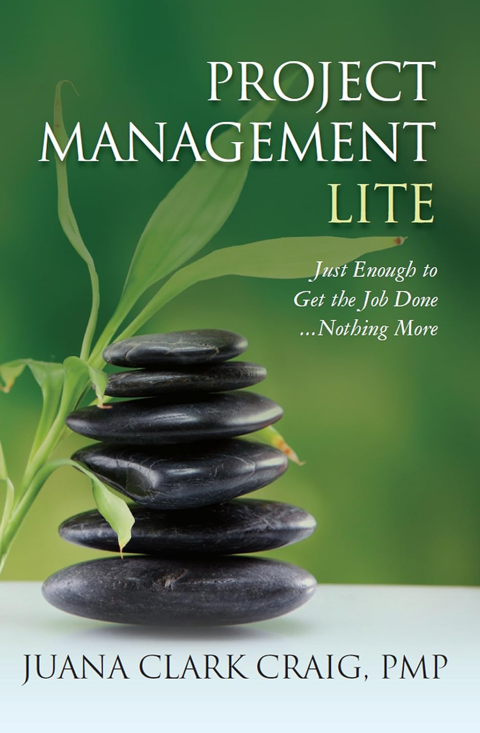 Amazon.com: Project Management Lite: Just Enough to Get the Job Done ...