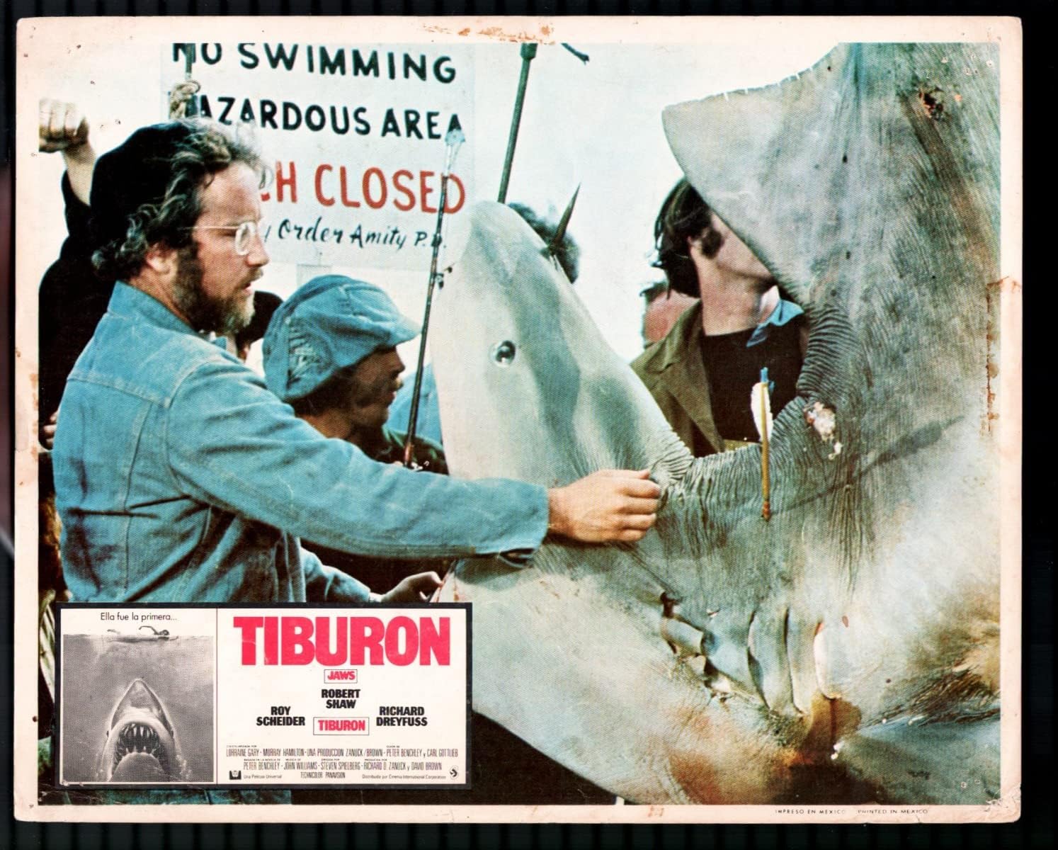Amazon.com: MOVIE POSTER: Jaws Tiburon 11"x14" Lobby Card Richard ...