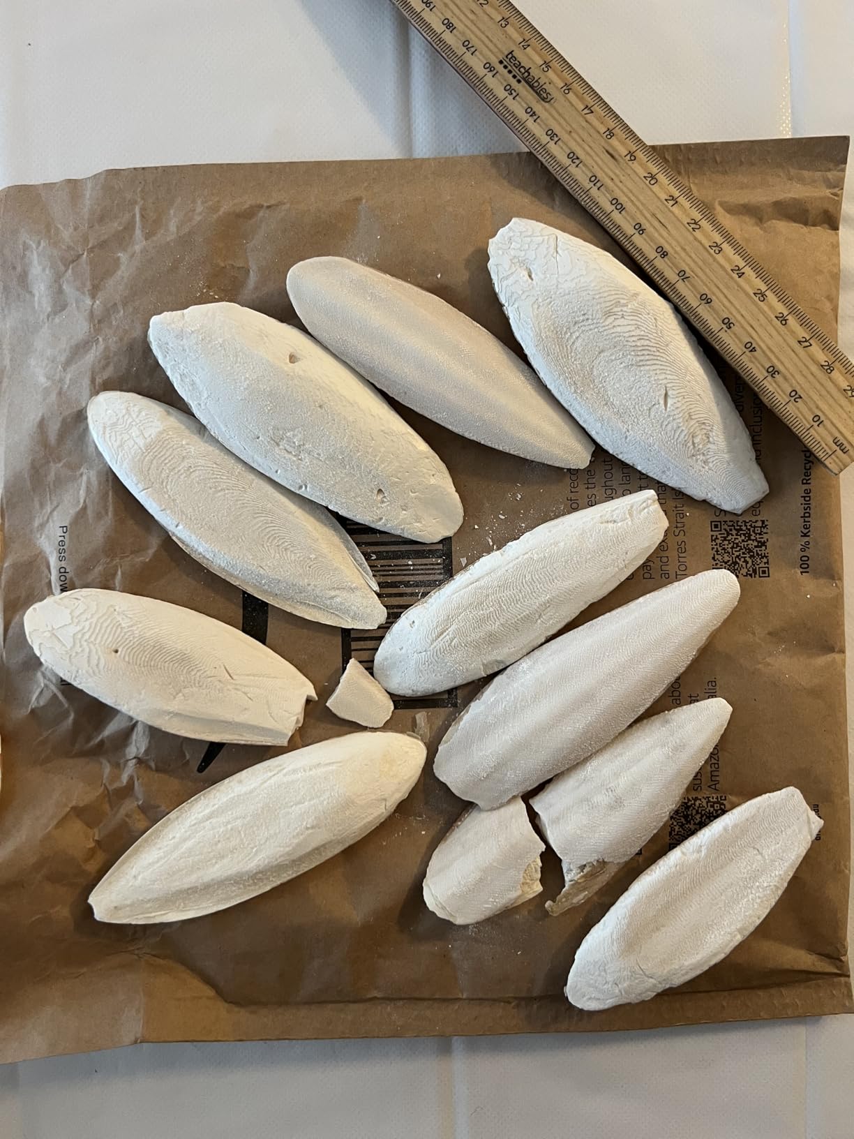 Powerful 10PCS Cuttlebone Cuttlefish Bone Natural Cuttlefish for Birds ...