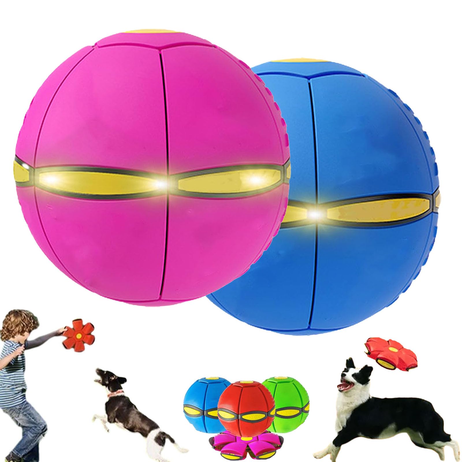 Amazon.com : Petootsy Doggy Delight Disc, The Doggy Disc Ball ...