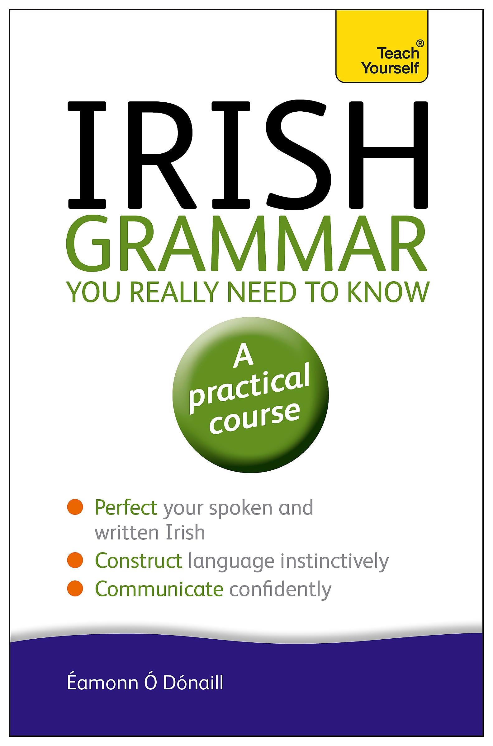 Teach Yourself Irish Grammar You Really Need to Know: A Practical ...