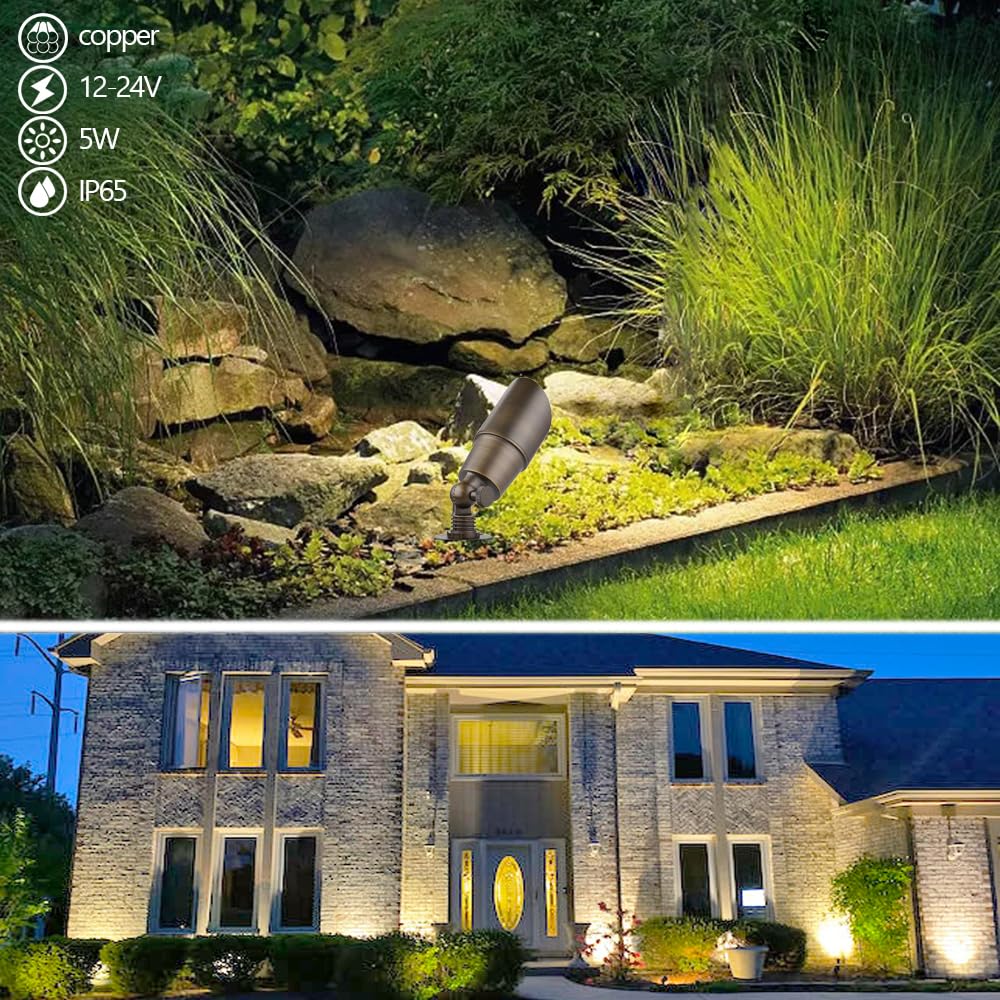 Outdoor Accent Lighting