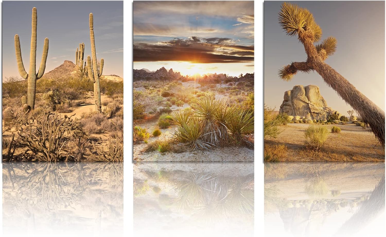 Amazon.com: 3 PCS Canvas Wall Art Print Joshua Tree National Park ...