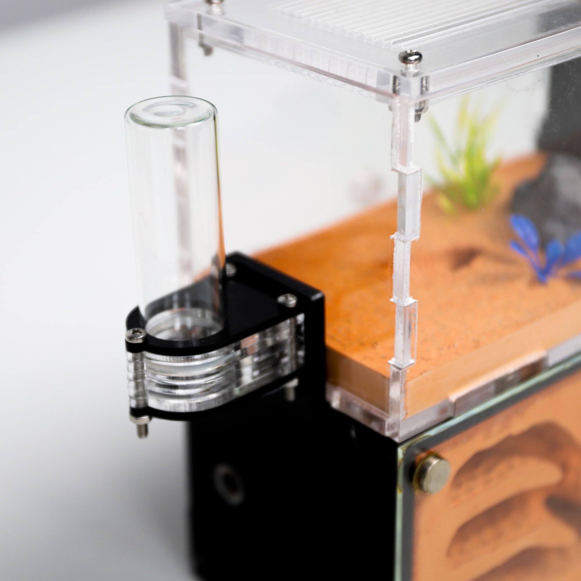 Snapklik.com : Ant Farm House For Adults - Two Floor Formicarium For ...