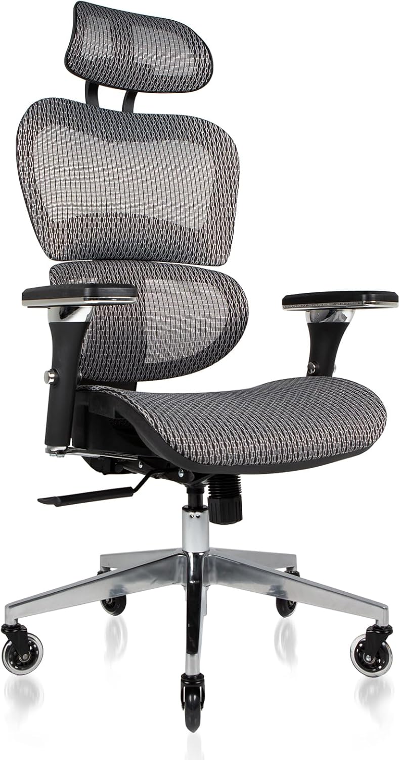 Amazon.com: Nouhaus Ergonomic Office Chair with Lumbar Support High ...