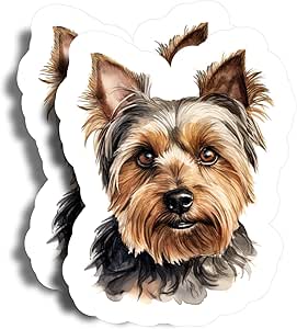 Amazon.com: Yorkshire Terrier Magnets - 5" On Longest Side - Dog-Cute ...