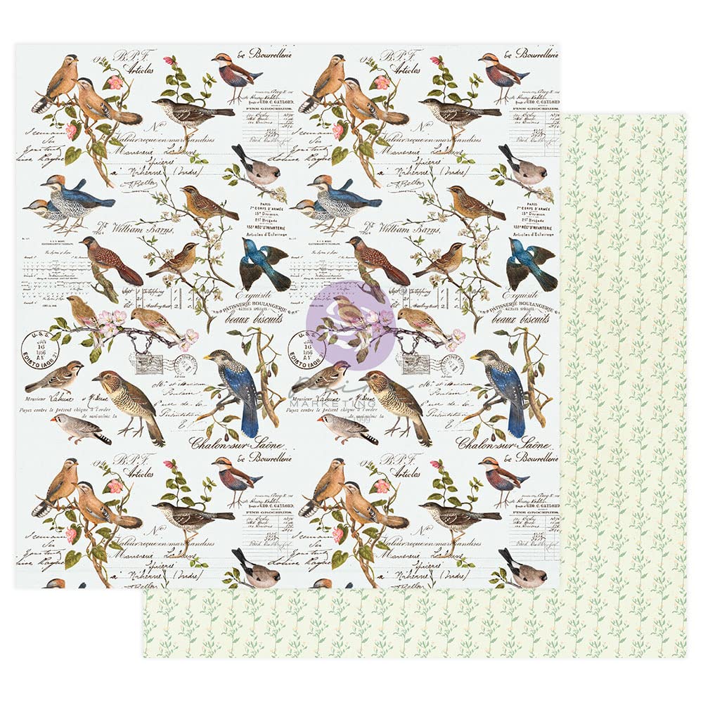 Amazon.com : Nature Lover Collection Where The Birds Meet 12x12 ...