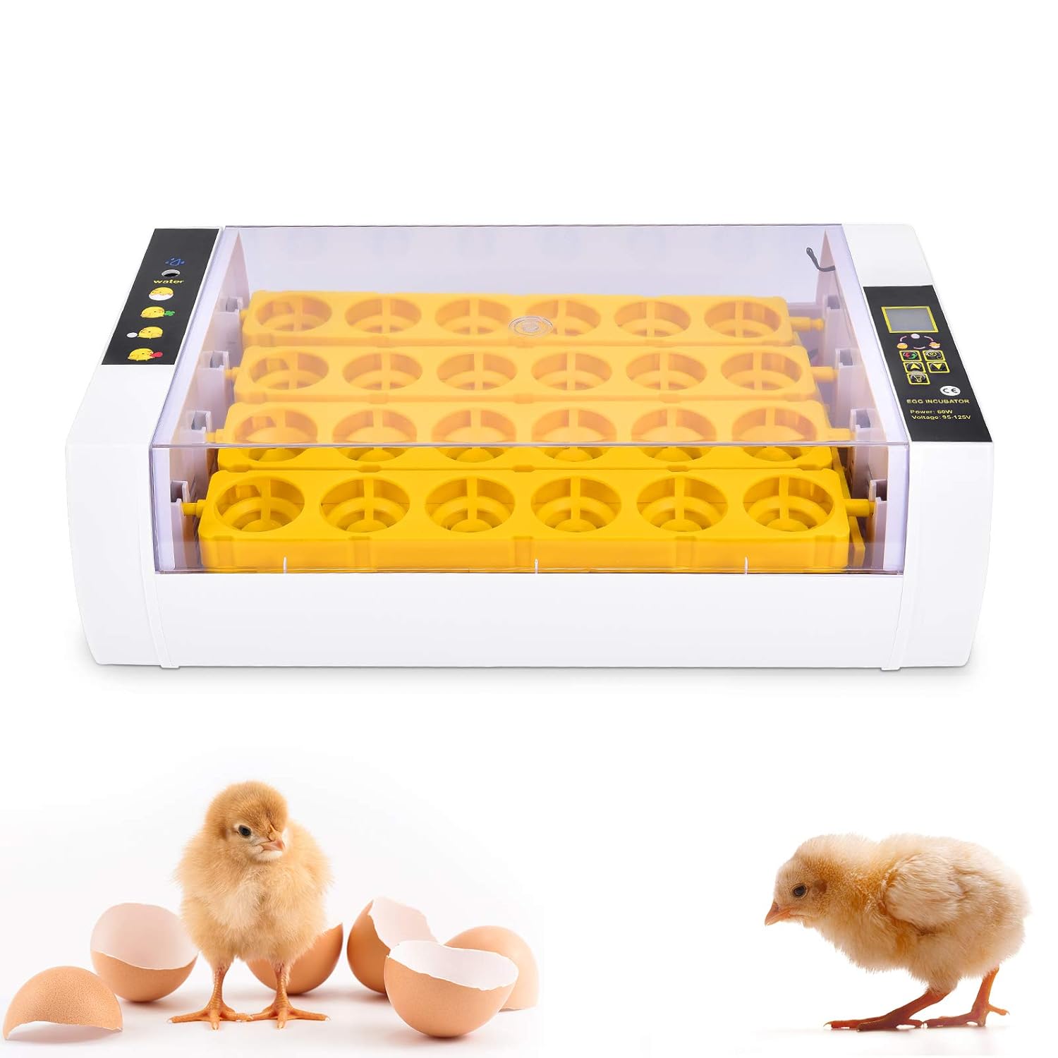 Egg Incubator - 24 Eggs Digital Incubators for Hatching Eggs with Fully Automatic Turner and ...