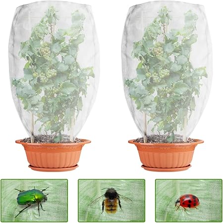 Amazon.com : Studio 21 Graphix 5 Pack Garden White Mosquito Bug Netting ...