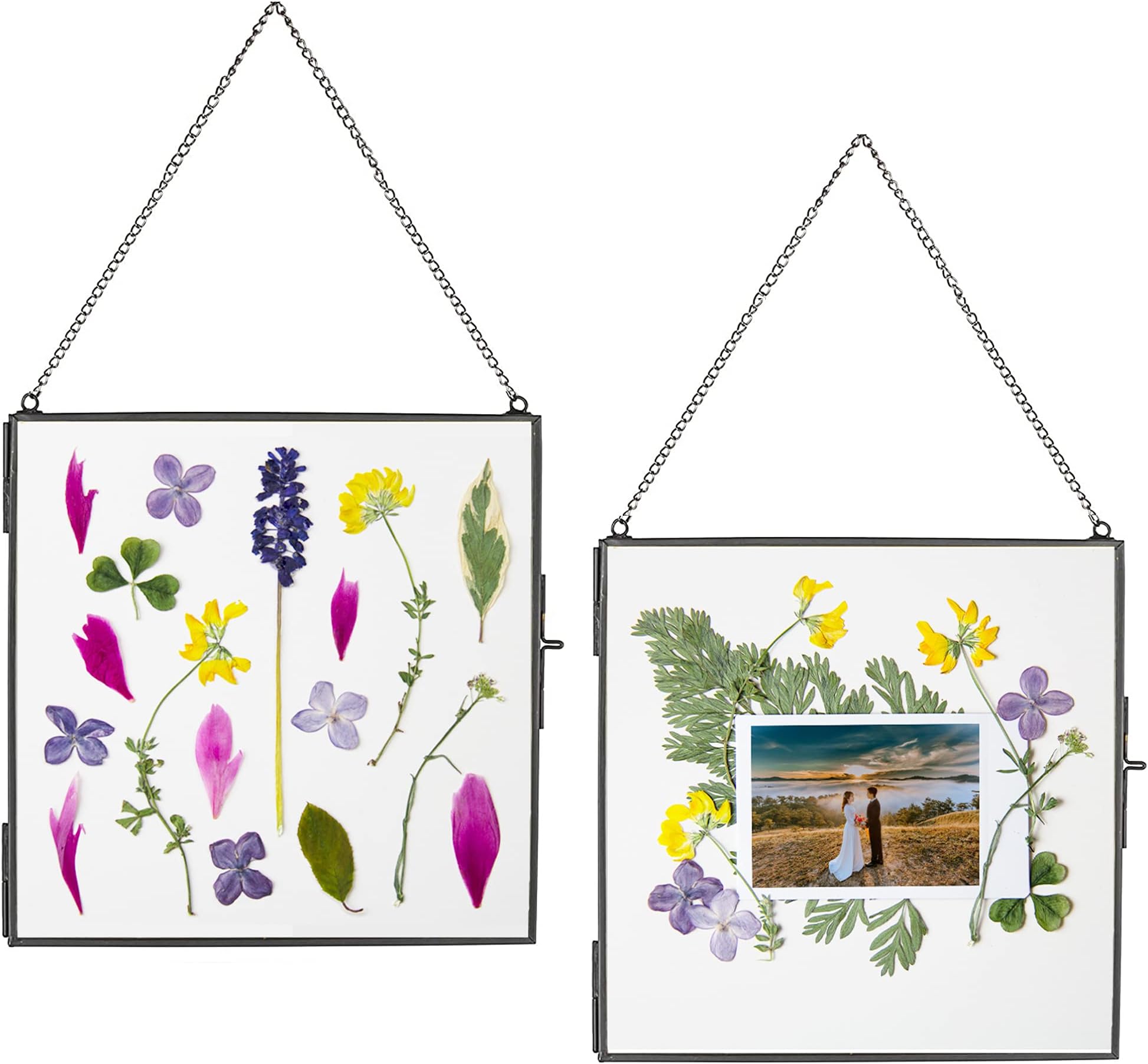 Amazon.com - Chunful 9 Pieces Double Glass Frame for Pressed Flowers ...