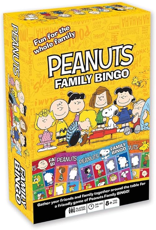 Amazon.com: AQUARIUS - Peanuts Family Bingo Game : Toys & Games