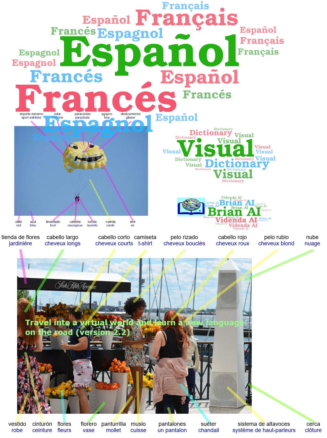 Amazon.com: Diccionario Visual Español Francés - Espagnol Français ...