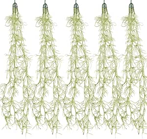 Amazon.com: COTSEN 5 Pack Spanish Moss Faux Greenery Moss Fake Vines ...