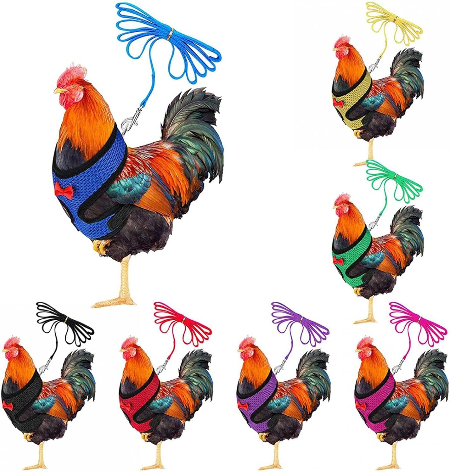 Amazon.com : 1PC Adjustable Chicken Harness with Leash and Matching ...