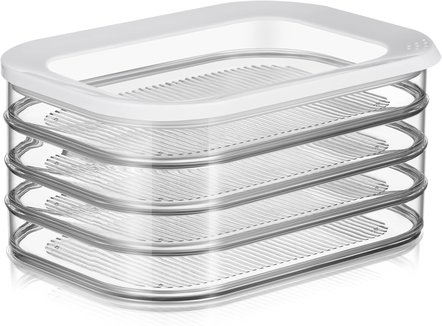Amazon.com: Tioncy Deli Meat Container for Fridge, 4 Layer Stackable ...