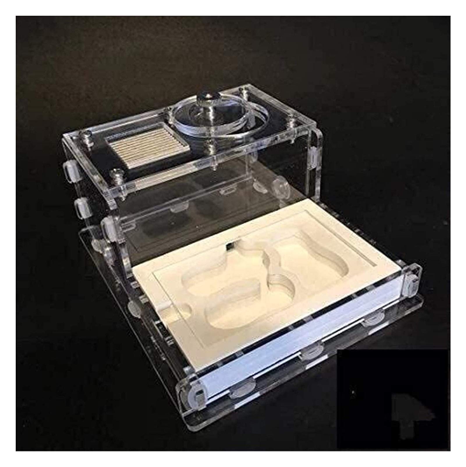 Buy Plaster Ants Nest Villas Ant House Insect Cages Ant Works Farm Ants ...