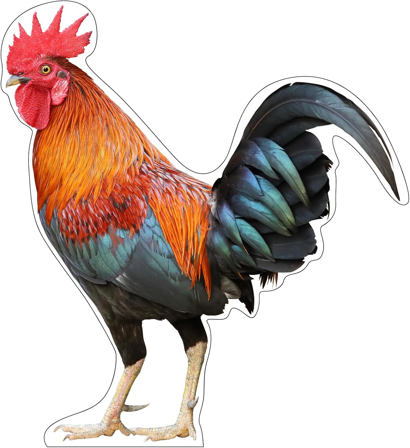 Amazon.com: Life Size Cardboard Cutout Standup | Waterproof | Animals ...