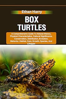 The Current Population Status Of Eastern Box Turtles: A Closer Look ...