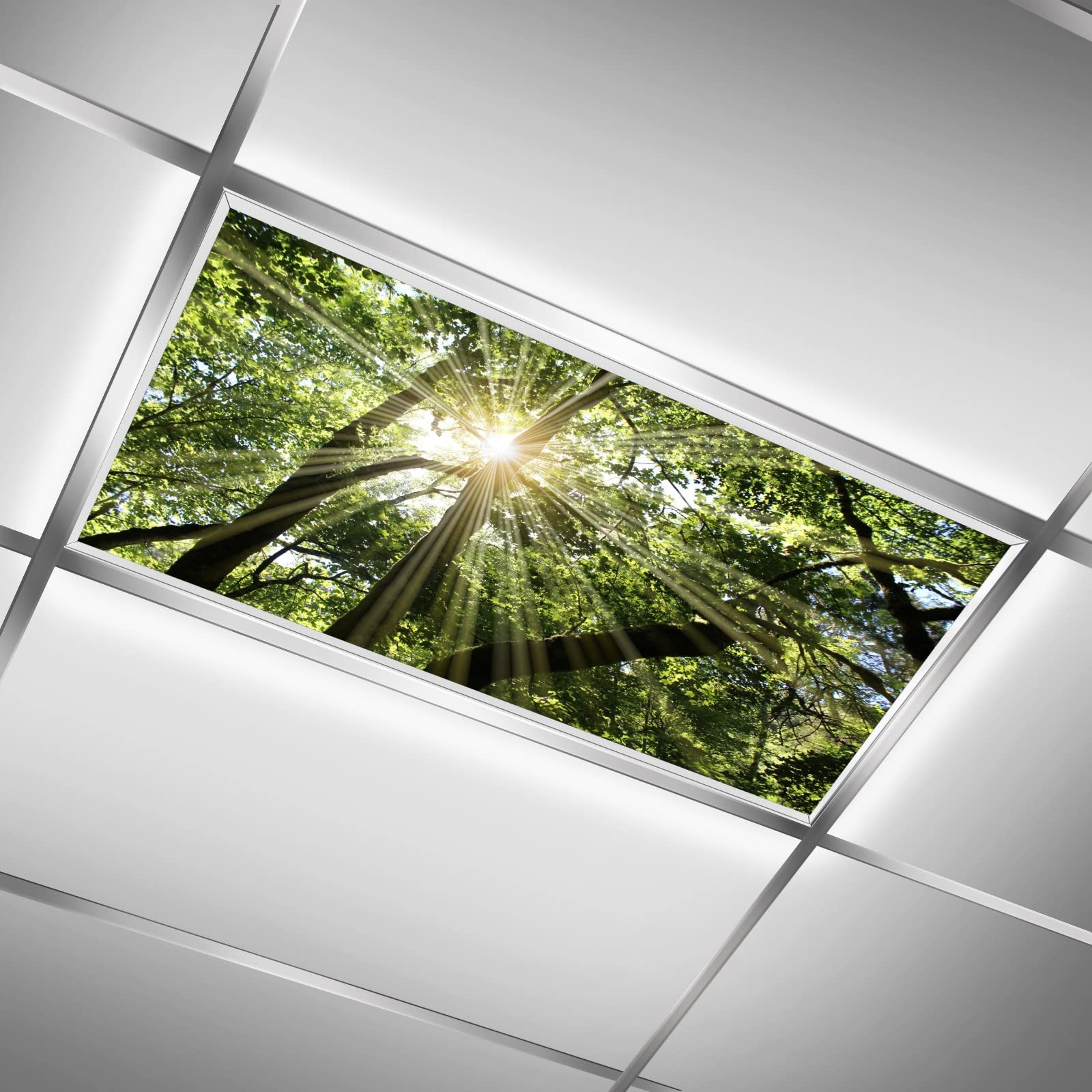 Decorative Fluorescent Fixture Lenses