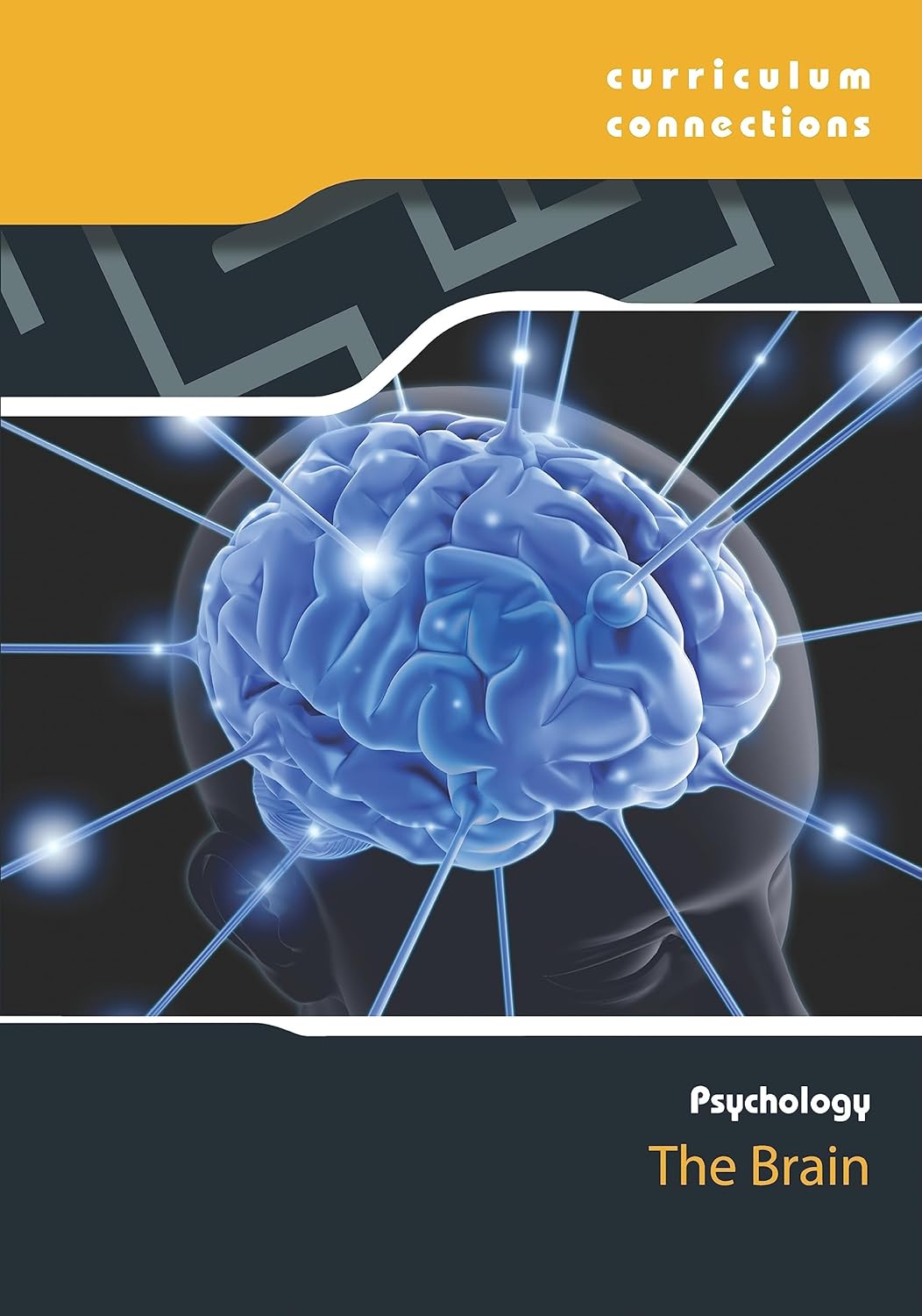 Amazon.com: The Brain (Curriculum Connections: Psychology ...
