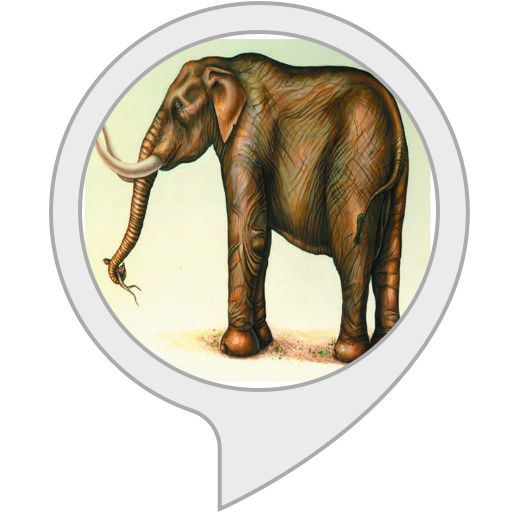 Amazon.com: Elephant Facts: Fun Facts About Elephants : Alexa Skills