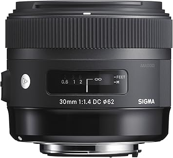 Amazon.com : Sigma 30mm F1.4 Art DC HSM Lens for Canon : Digital Slr ...