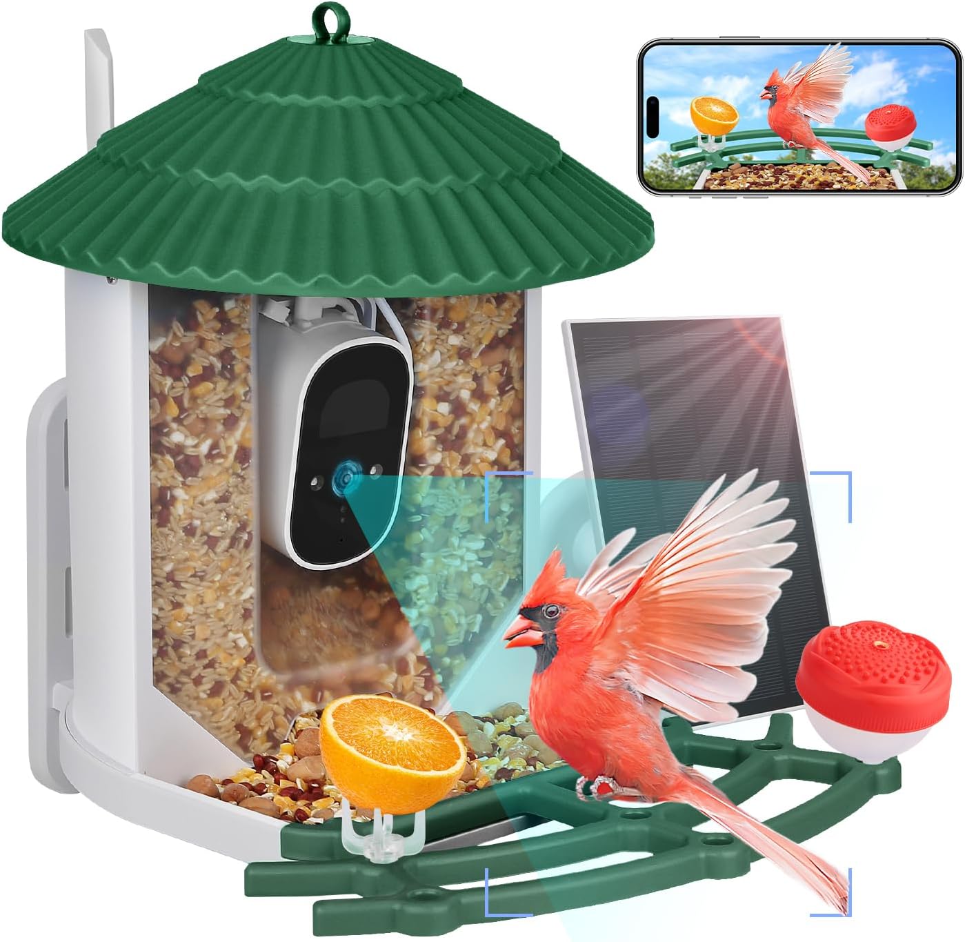Bird Feeder with Camera, 4MP Smart Bird Feeder with Camera Wireless ...