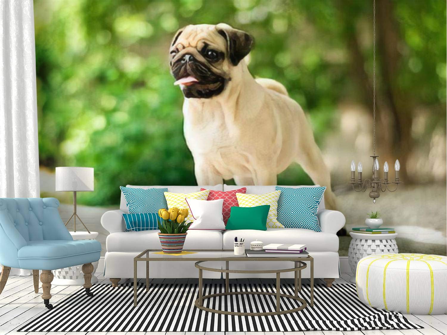 Pugs Puppies Wallpapers