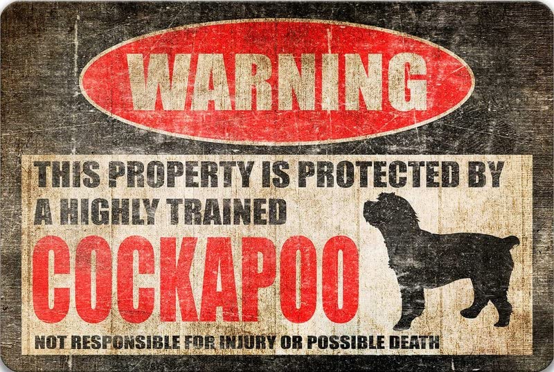 Can A Cockapoo Live Outside