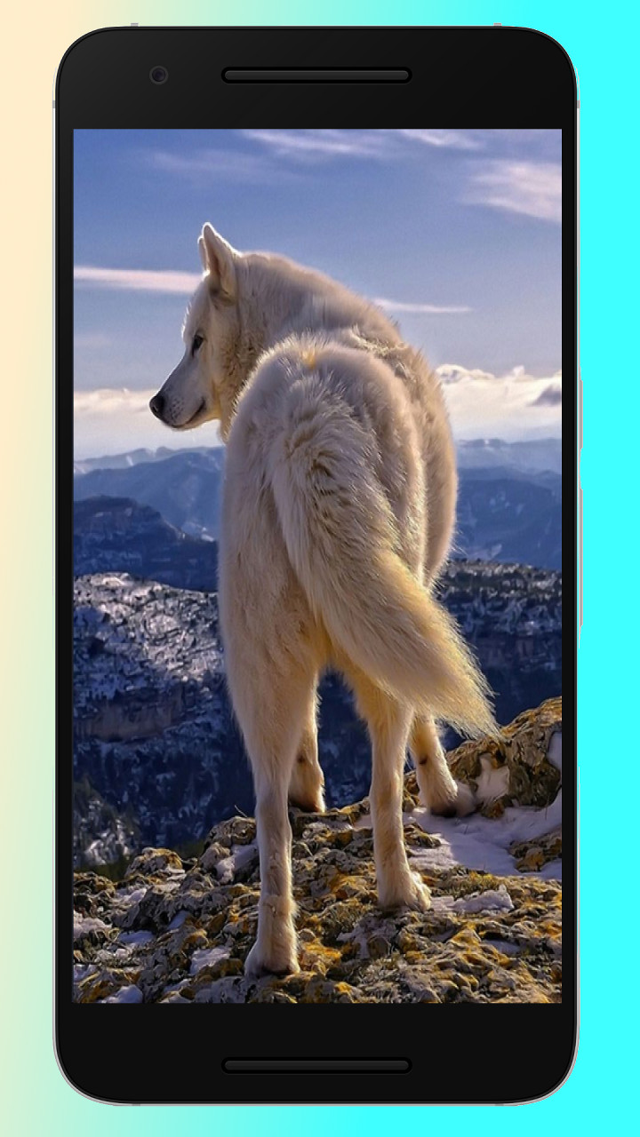 HD animal wallpapers - App on Amazon Appstore