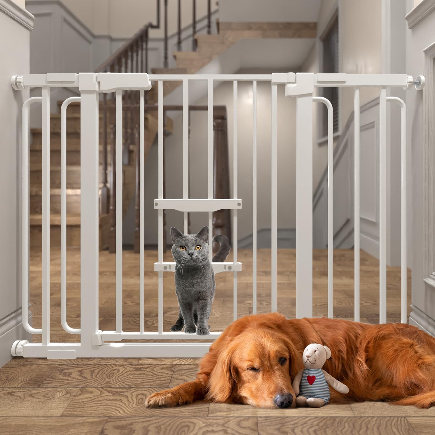 The Cardinal Gates Outdoor Pet Gate Model Ss30Od at Jasper Saranealis blog