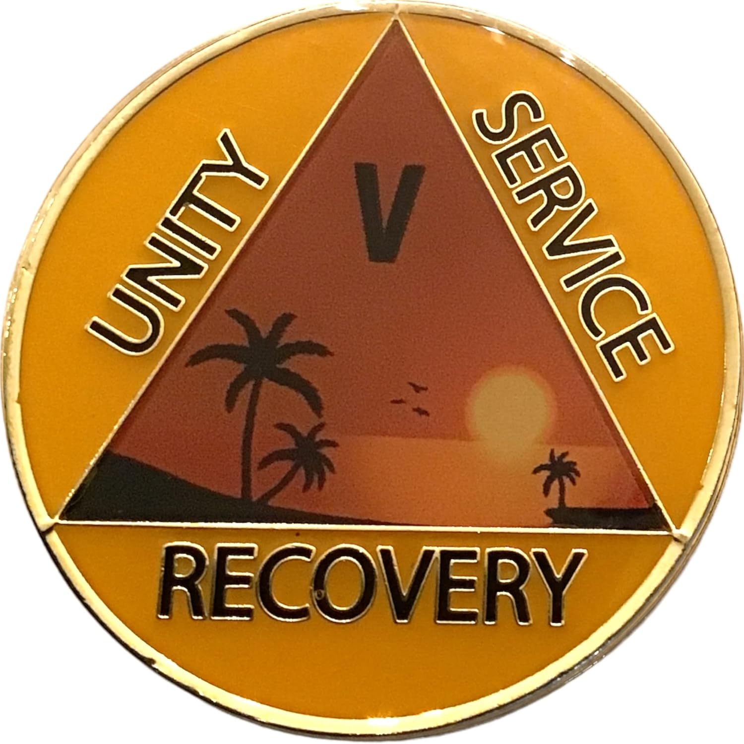 Amazon.com : 5 Year AA, Alcoholics Anonymous- The Sunset Beach ...