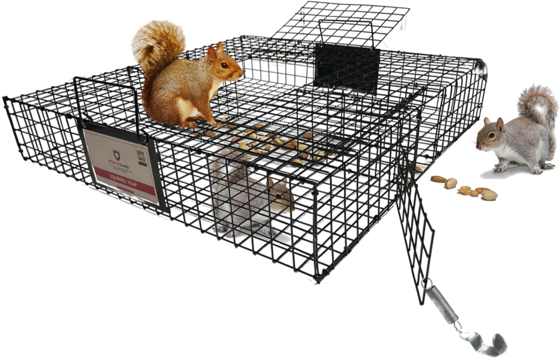 Amazon.com : Rugged Ranch Products (2 Pack) Squirrelinator Trap without Basin : Patio, Lawn & Garden