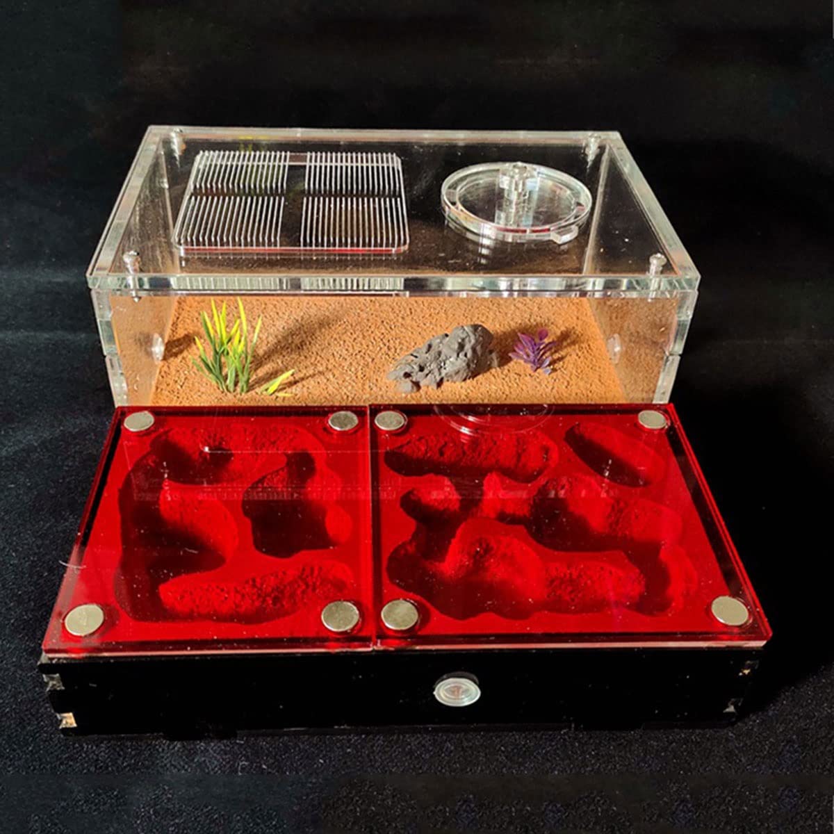 Zhl Arylic Ant Farm Gypsum Ants Nest Ant House Feeding | Desertcart OMAN