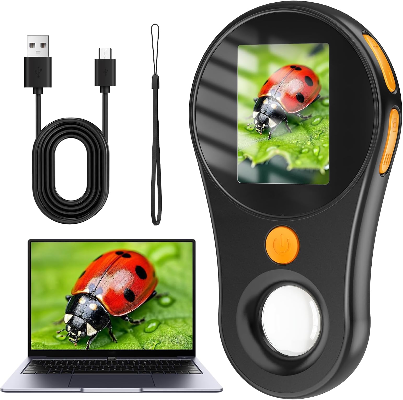 Amazon.com: Microscope OUTACT Portable Microscope Microscope with 8 ...