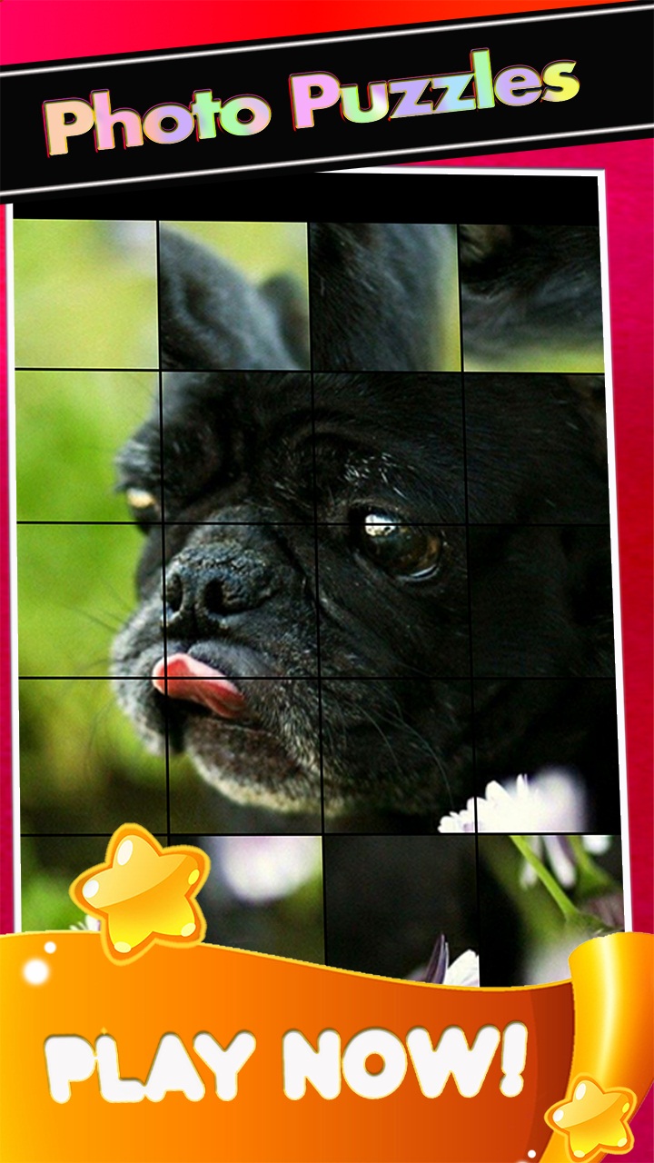 Pugs Pictures-The Cute Pug Puzzle Game - App on Amazon Appstore