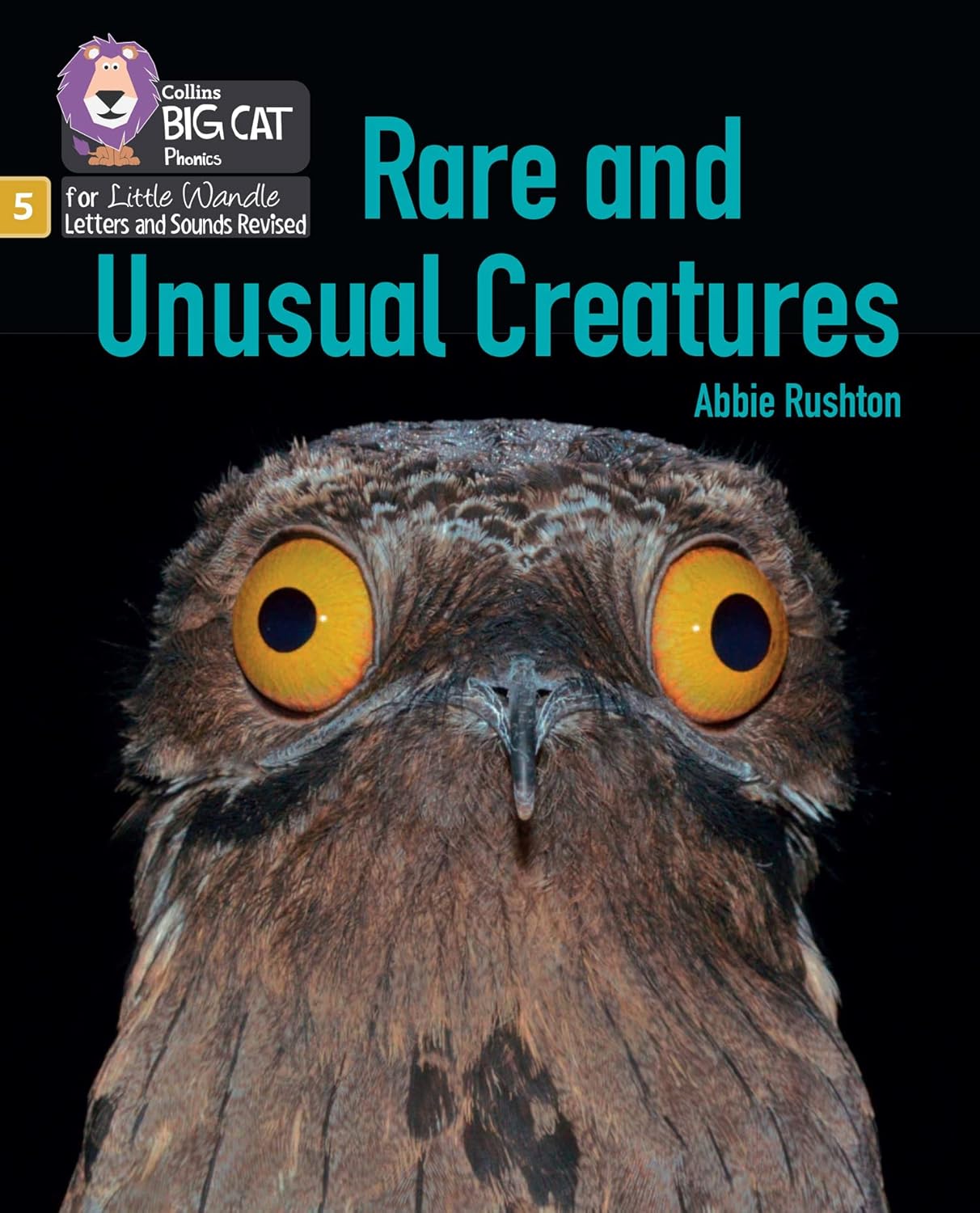 Rare and Unusual Creatures: Phase 5 Set 5 Stretch and challenge (Big ...
