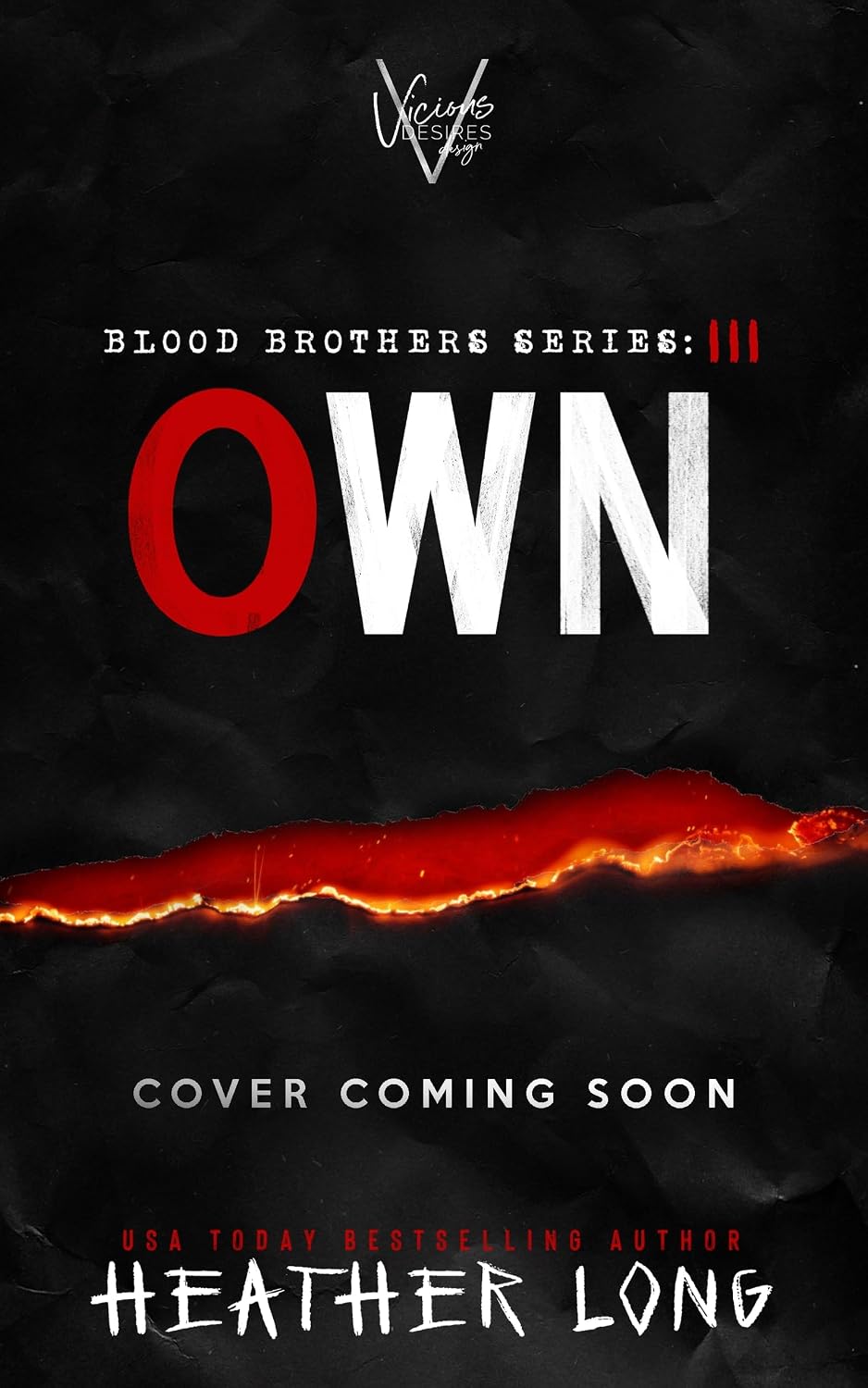 Own (BLOOD Brothers Book 3) - Kindle edition by Long, Heather. Romance ...