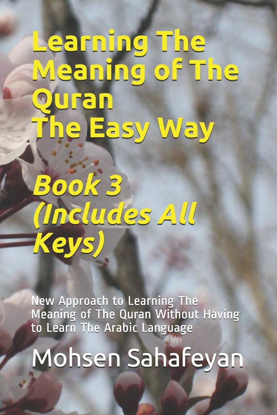 Learning The Meaning Of The Quran The Easy Way Book | Desertcart KUWAIT