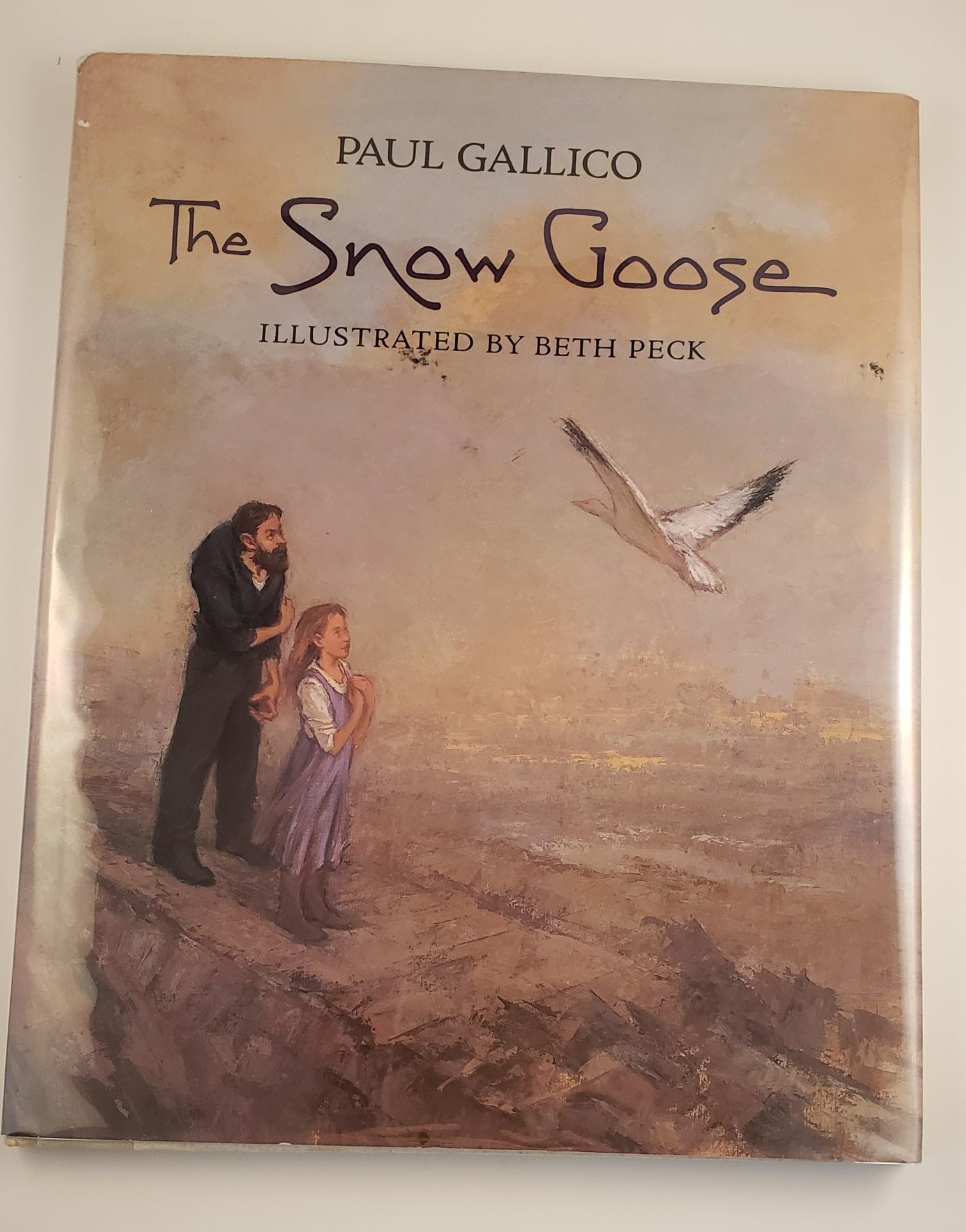 The Snow Goose: Paul Gallico, Beth Peck: 9780679806837: Amazon.com: Books
