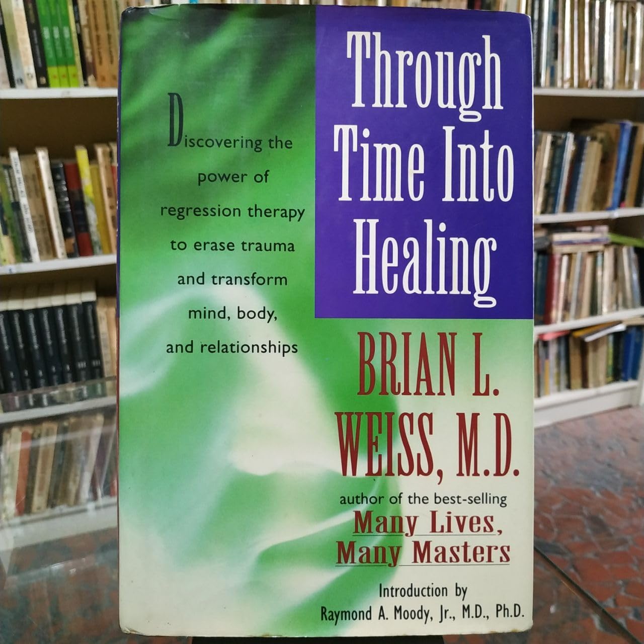 Through Time Into Healing: Discovering the Power of Regression Therapy ...