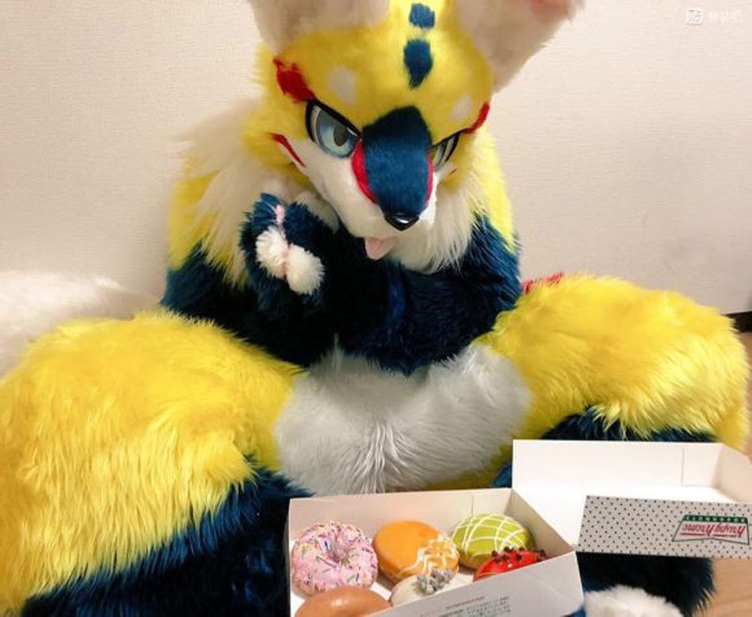 Amazon.com: Japan Yellow Cat Husky Fox Digigrade Legs Catfooted Prop ...